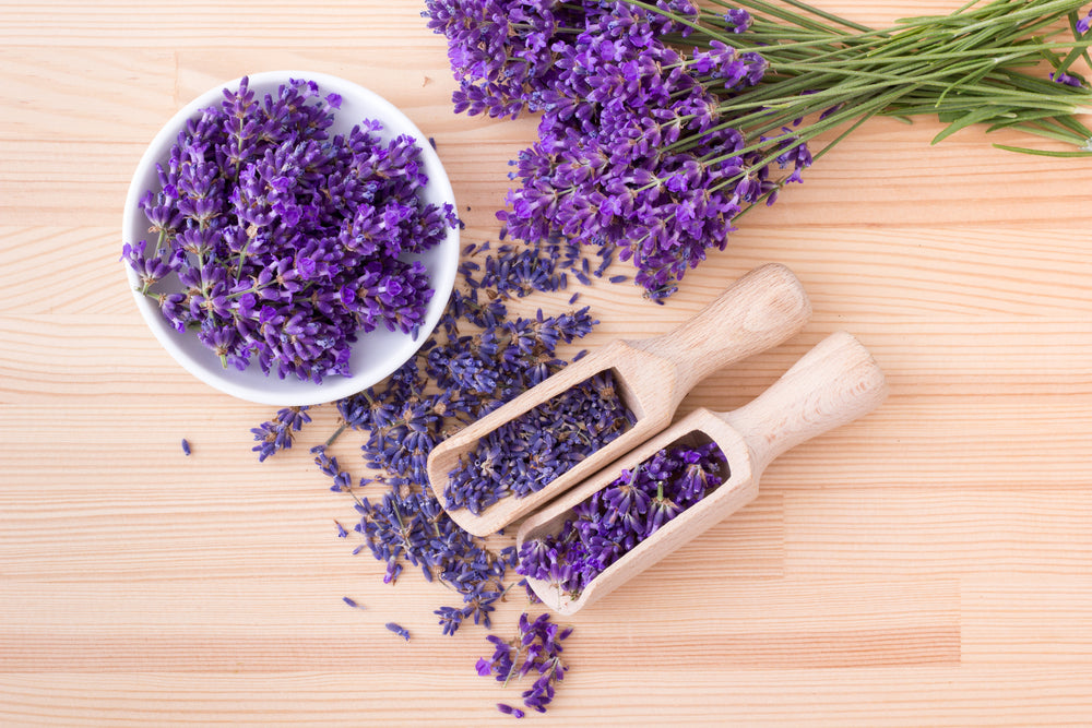 Destacando el encantador aroma de lavanda. - Aroma360