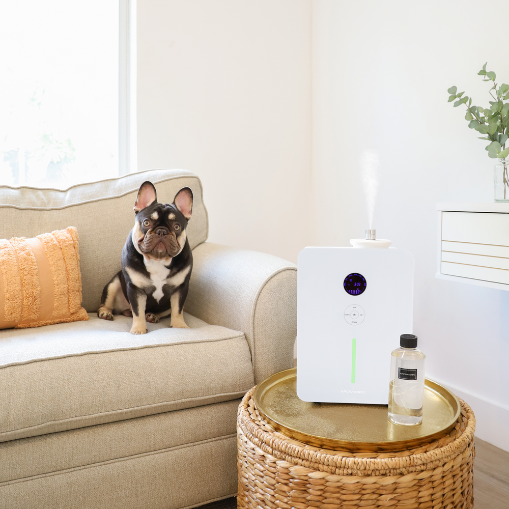 VanGogh360 - Aroma360