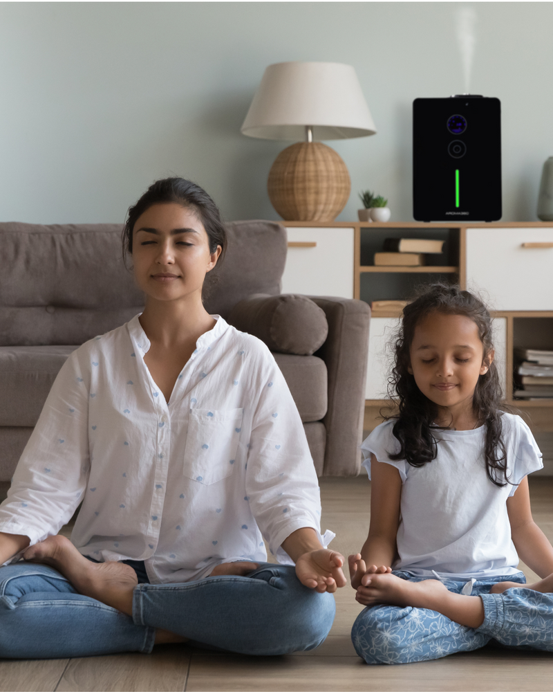 VanGogh360 Programmable Scent Diffuser for Home & HVAC | Aroma360