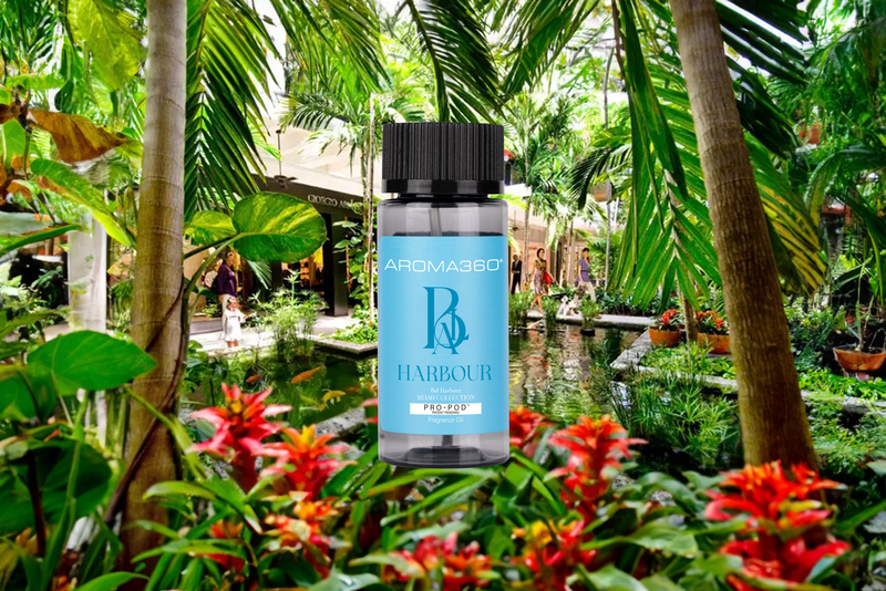 Miami Collection - Aroma360