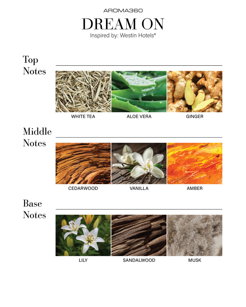 Smart Car Diffuser Oil | Luxury Scent Refills | Aroma360